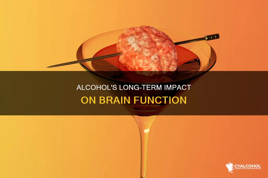 Alcohol's Long-Term Impact On Brain Function | CyAlcohol