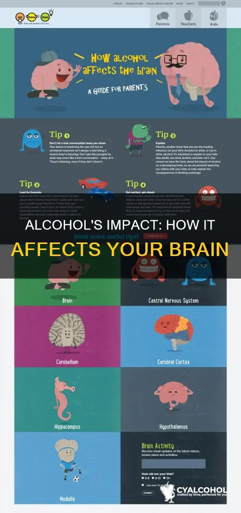 Alcohol's Impact: How It Affects Your Brain | CyAlcohol
