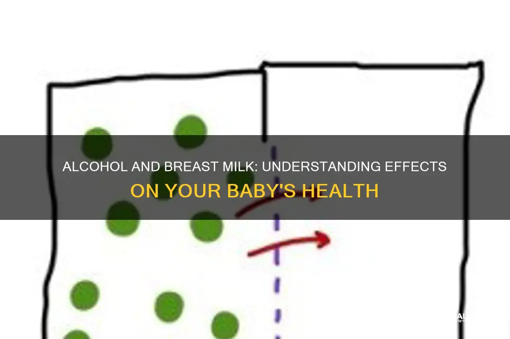 Alcohol And Breast Milk: Understanding Effects On Your Baby's Health ...