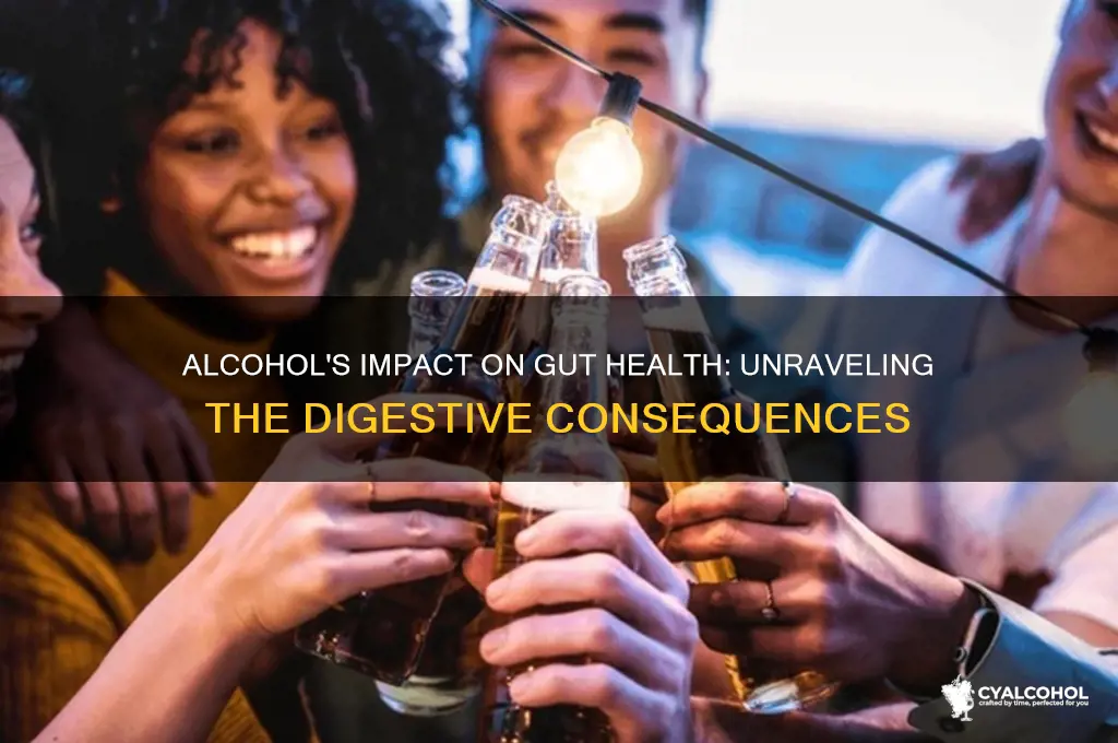 Alcohol's Impact On Gut Health: Unraveling The Digestive Consequences ...
