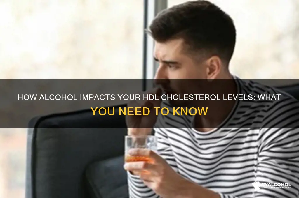 How Alcohol Impacts Your Hdl Cholesterol Levels: What You Need To Know ...