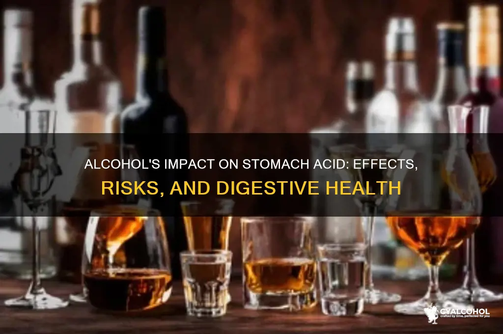 Alcohol's Impact On Stomach Acid: Effects, Risks, And Digestive Health ...