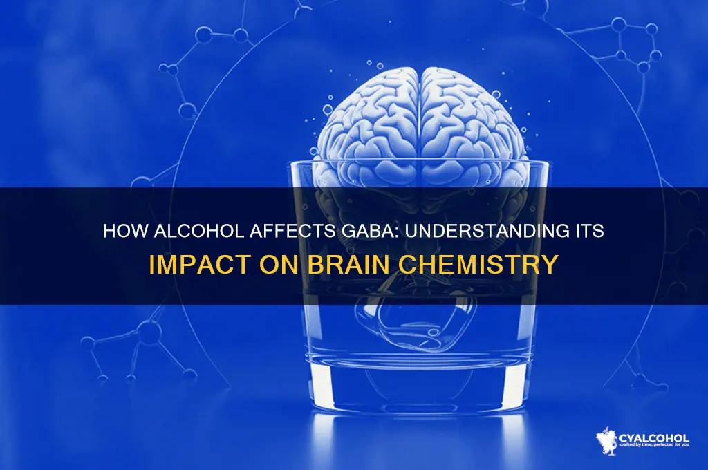 How Alcohol Affects Gaba: Understanding Its Impact On Brain Chemistry ...