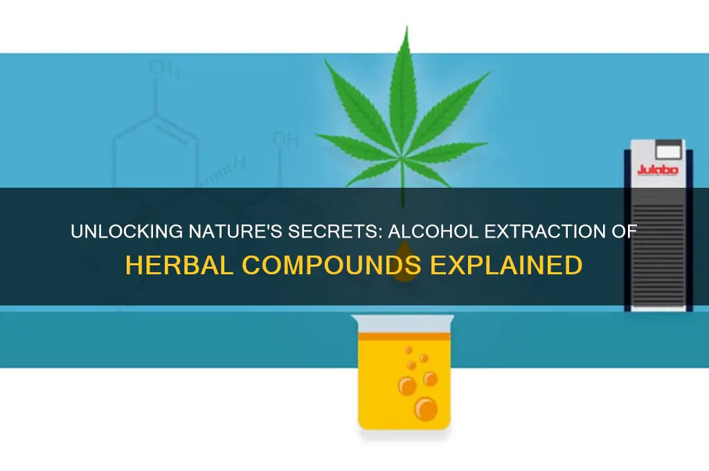 Unlocking Nature's Secrets: Alcohol Extraction Of Herbal Compounds ...
