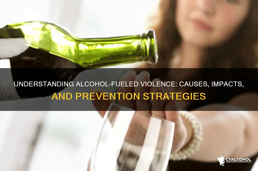 Understanding Alcohol-Fueled Violence: Causes, Impacts, And Prevention ...