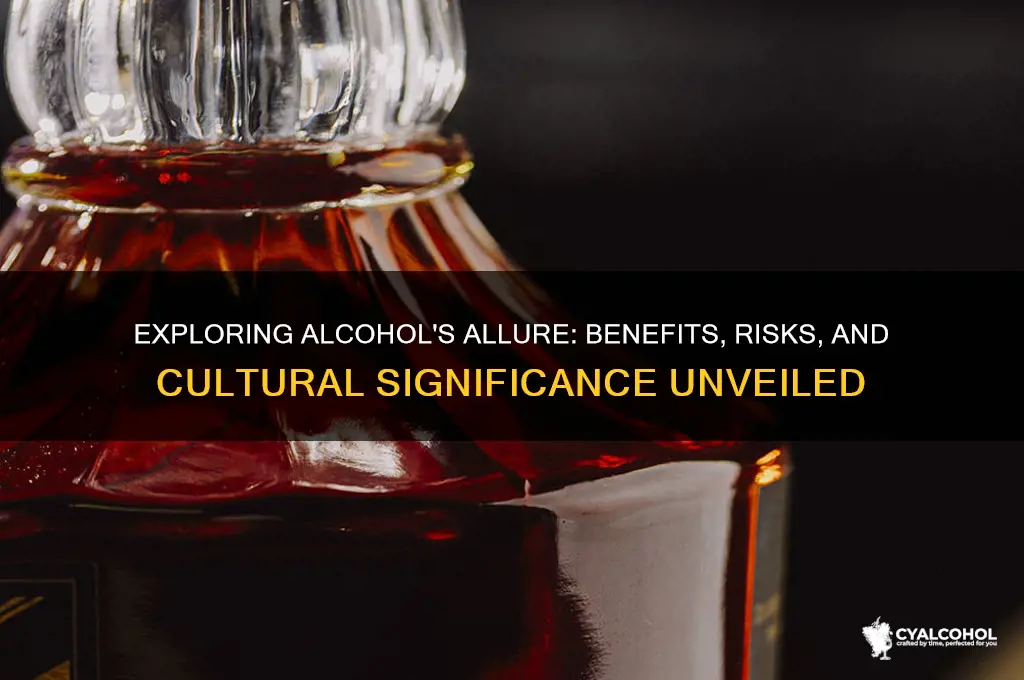 Exploring Alcohol's Allure: Benefits, Risks, And Cultural Significance ...
