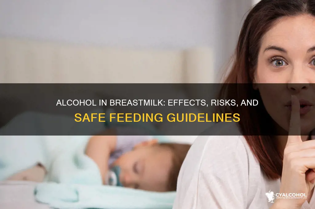 Alcohol In Breastmilk: Effects, Risks, And Safe Feeding Guidelines ...