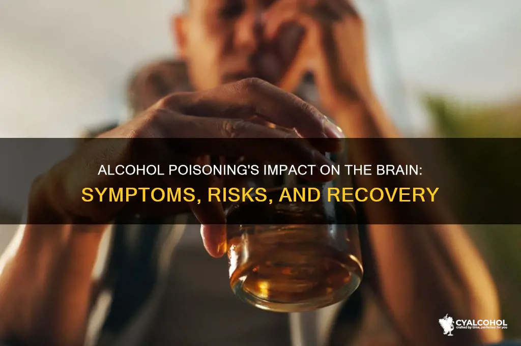 Alcohol Poisoning's Impact On The Brain: Symptoms, Risks, And Recovery ...