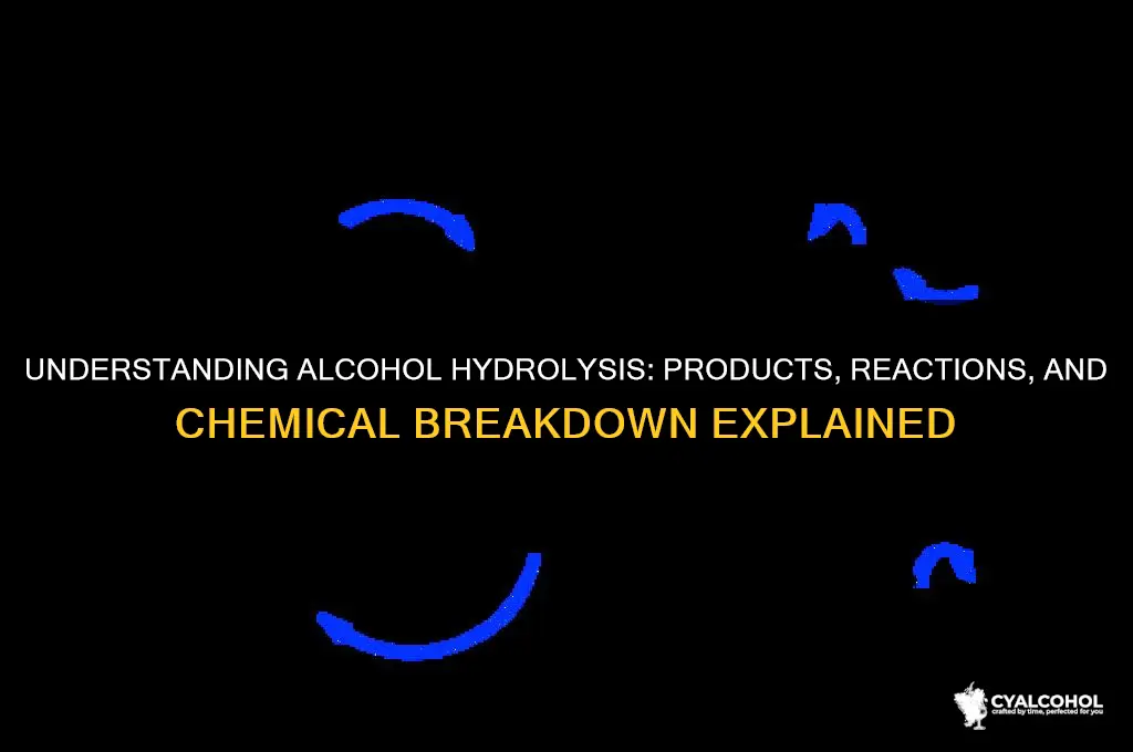 Understanding Alcohol Hydrolysis: Products, Reactions, And Chemical ...