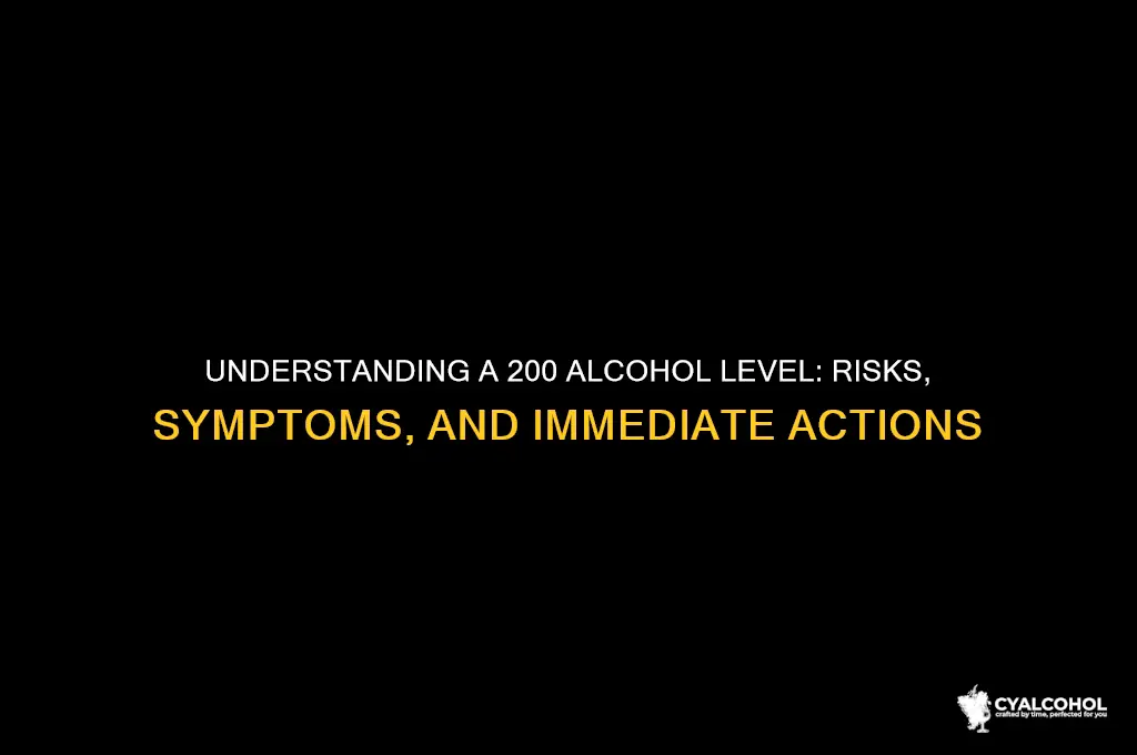 Understanding A 200 Alcohol Level: Risks, Symptoms, And Immediate ...