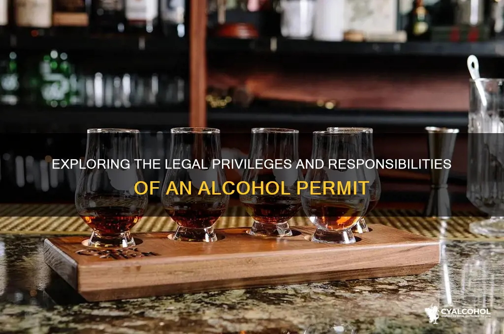 Exploring The Legal Privileges And Responsibilities Of An Alcohol ...