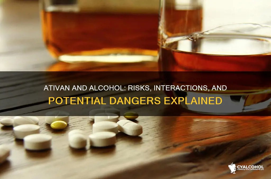 Ativan And Alcohol: Risks, Interactions, And Potential Dangers ...
