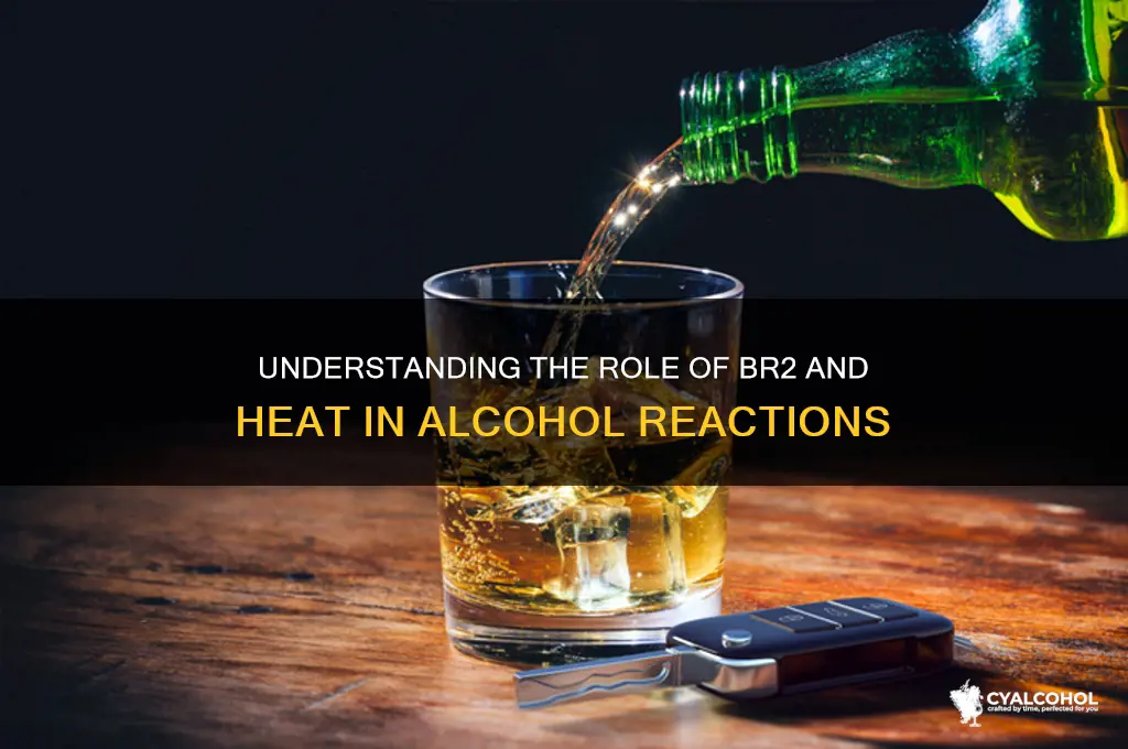 Understanding The Role Of Br2 And Heat In Alcohol Reactions | CyAlcohol