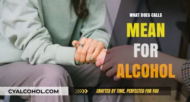 Understanding Cl In Alcohol: Meaning, Importance, And Common Uses ...
