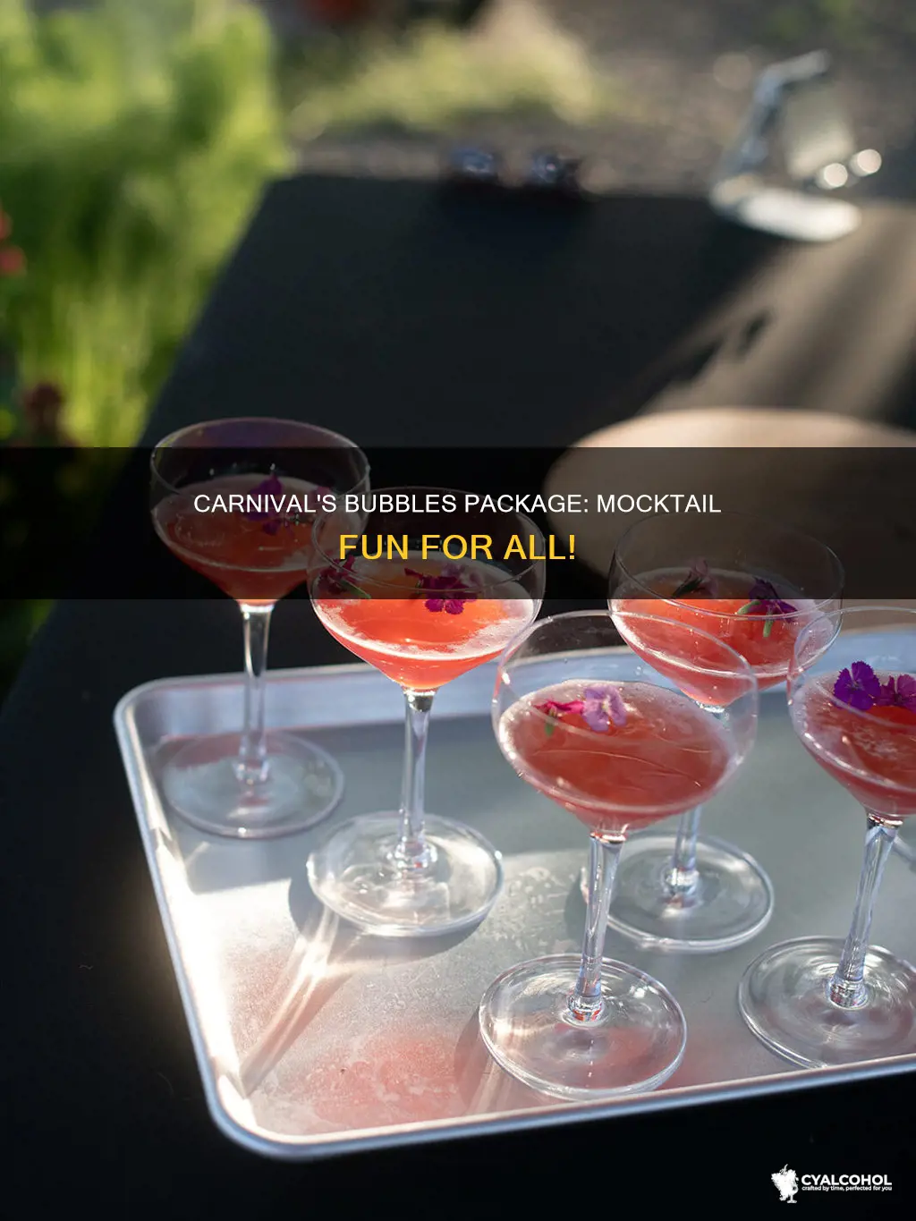 Carnival's Bubbles Package: Mocktail Fun For All! | CyAlcohol