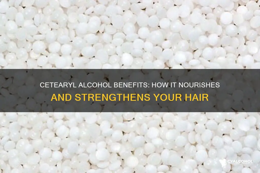 Cetearyl Alcohol Benefits: How It Nourishes And Strengthens Your Hair ...