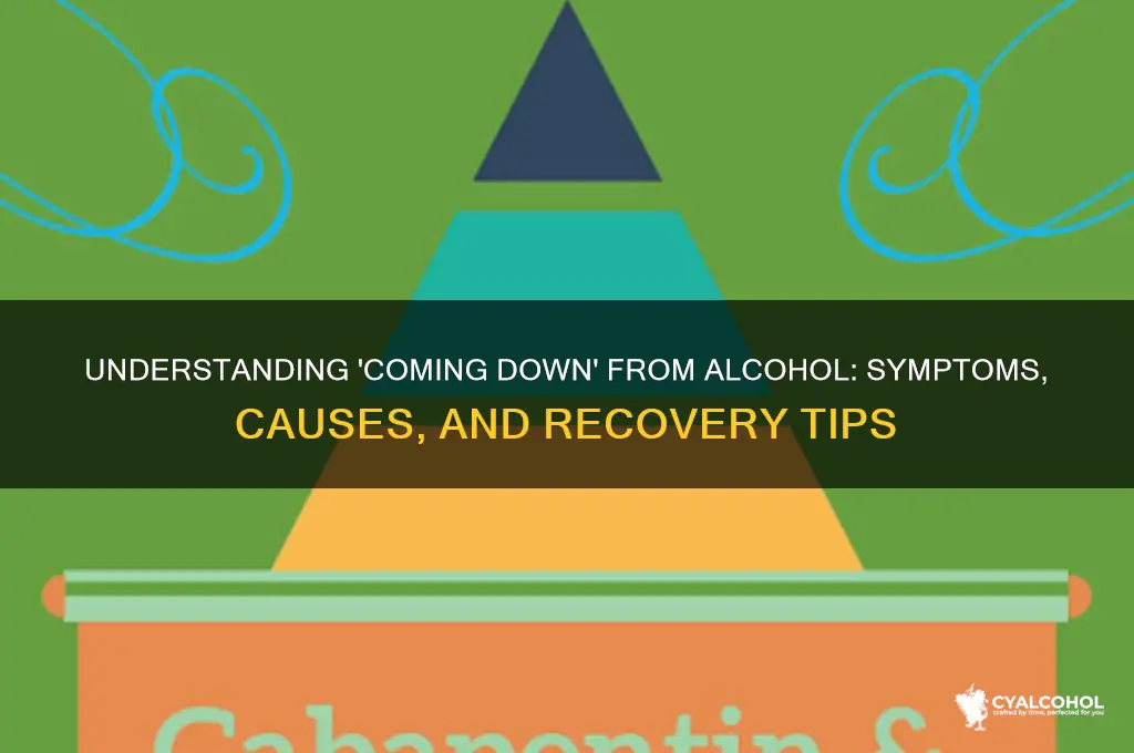 Understanding 'Coming Down' From Alcohol: Symptoms, Causes, And ...