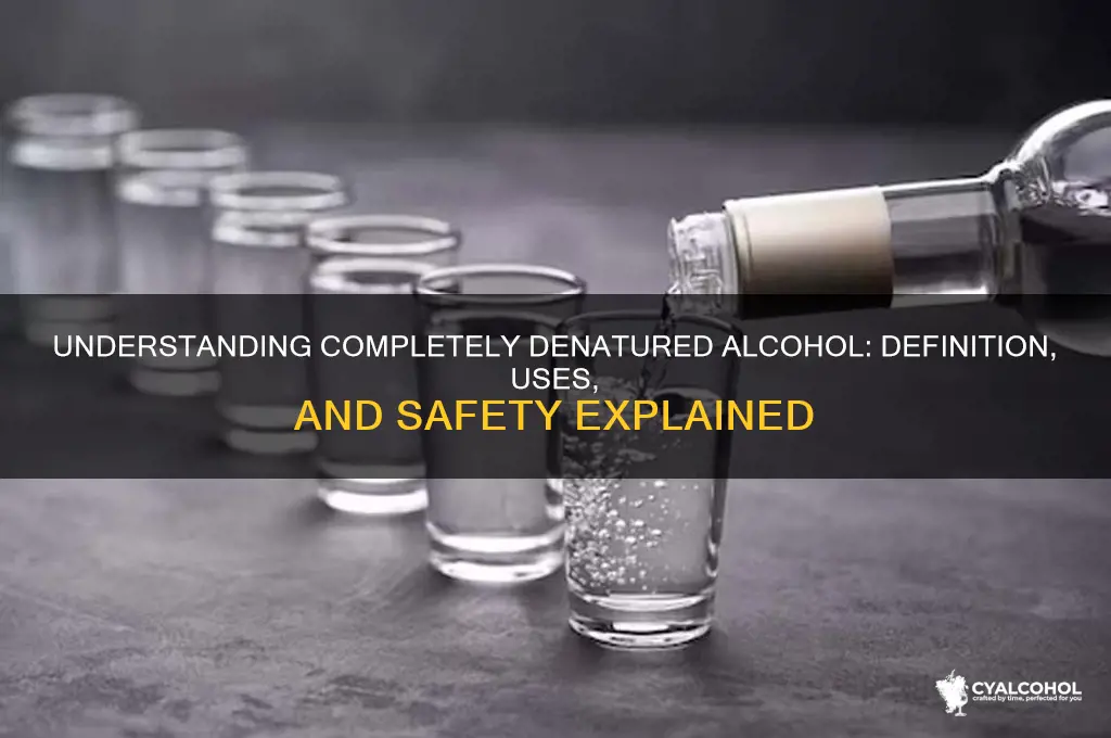Understanding Completely Denatured Alcohol: Definition, Uses, And ...
