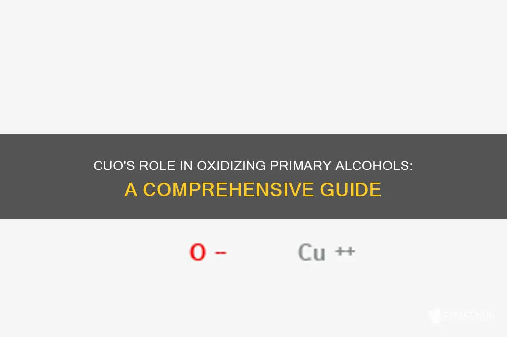 Cuo's Role In Oxidizing Primary Alcohols: A Comprehensive Guide | CyAlcohol