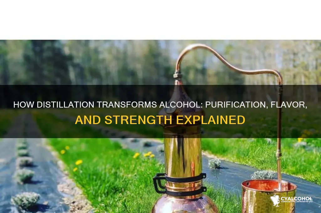 How Distillation Transforms Alcohol: Purification, Flavor, And Strength ...