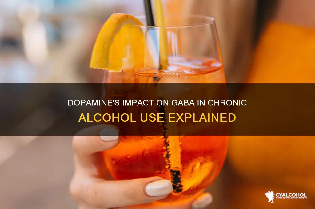 Dopamine's Impact On Gaba In Chronic Alcohol Use Explained | CyAlcohol