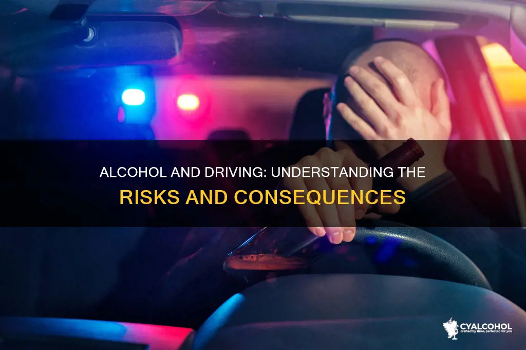 Alcohol And Driving: Understanding The Risks And Consequences | CyAlcohol