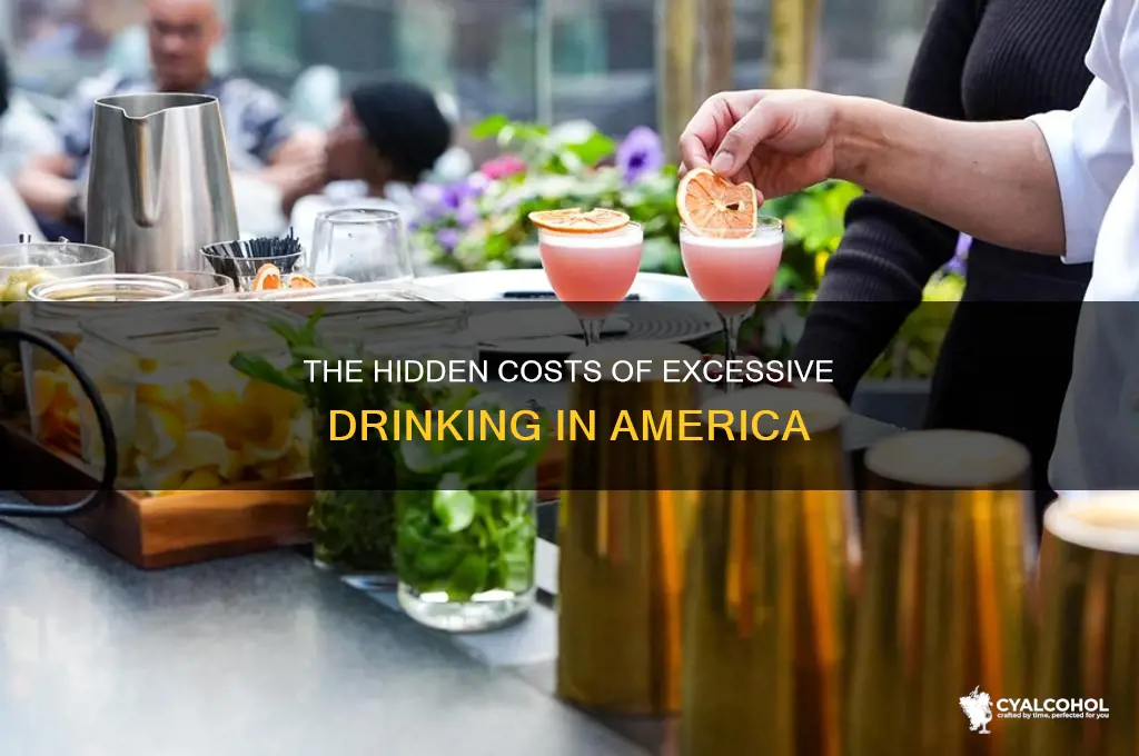 The Hidden Costs Of Excessive Drinking In America | CyAlcohol