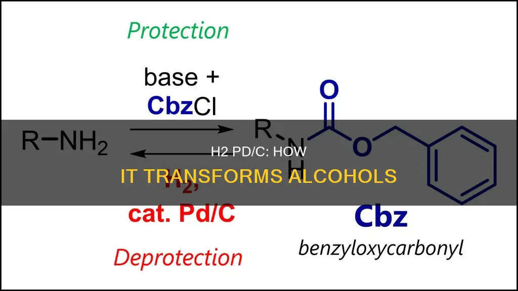 H2 Pd/C: How It Transforms Alcohols | CyAlcohol
