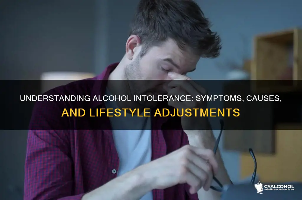 Understanding Alcohol Intolerance: Symptoms, Causes, And Lifestyle ...