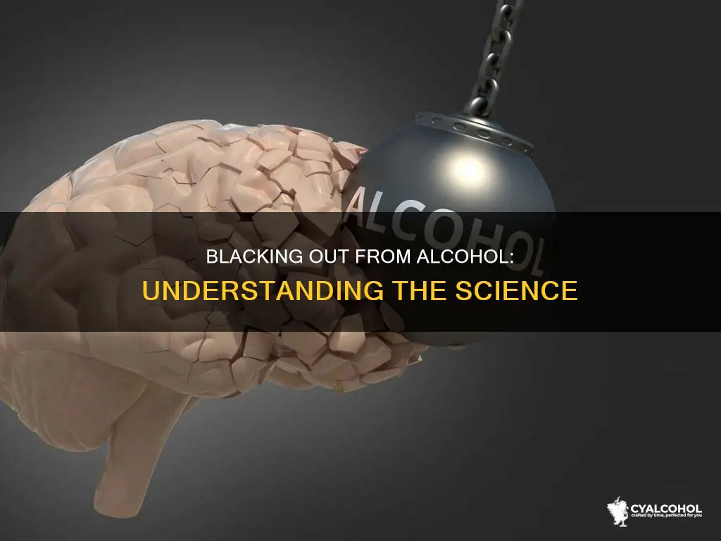 Blacking Out From Alcohol: Understanding The Science | CyAlcohol