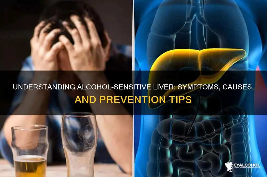 Understanding Alcohol-Sensitive Liver: Symptoms, Causes, And Prevention ...