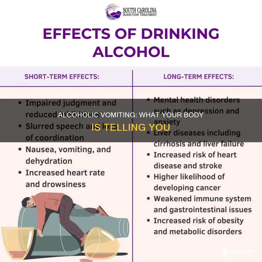 Alcoholic Vomiting: What Your Body Is Telling You | CyAlcohol