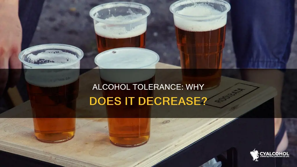 Alcohol Tolerance: Why Does It Decrease? | CyAlcohol