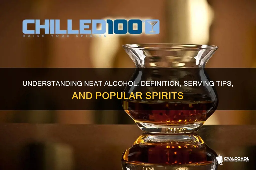 Understanding Neat Alcohol: Definition, Serving Tips, And Popular ...