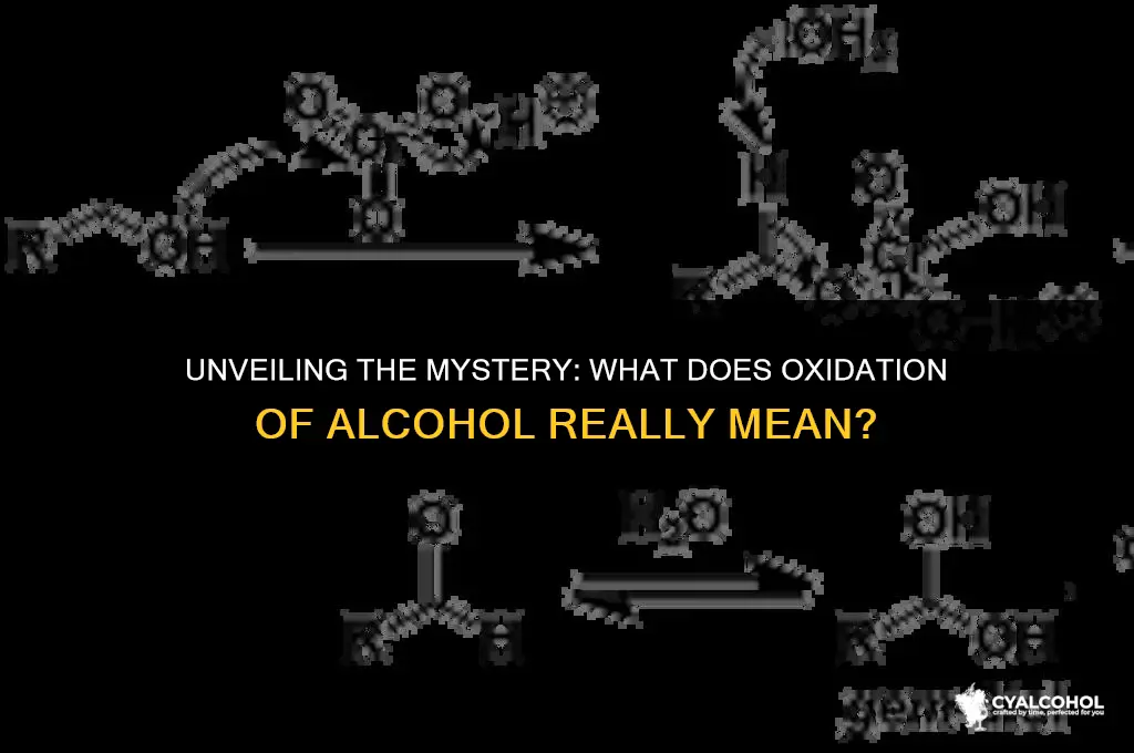 Unveiling The Mystery: What Does Oxidation Of Alcohol Really Mean ...