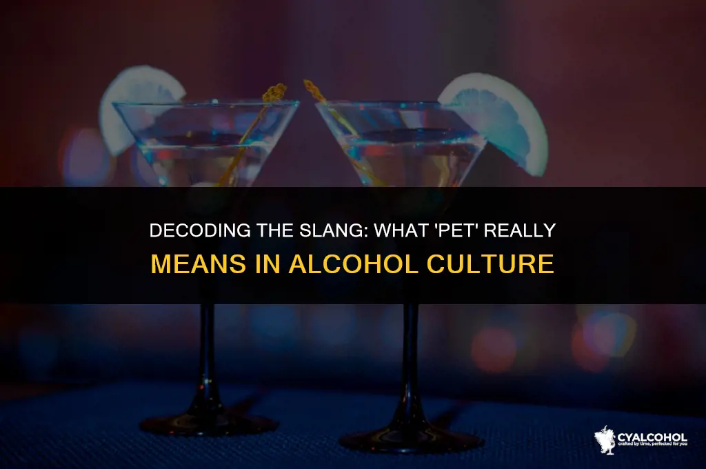 Decoding The Slang: What 'Pet' Really Means In Alcohol Culture | CyAlcohol
