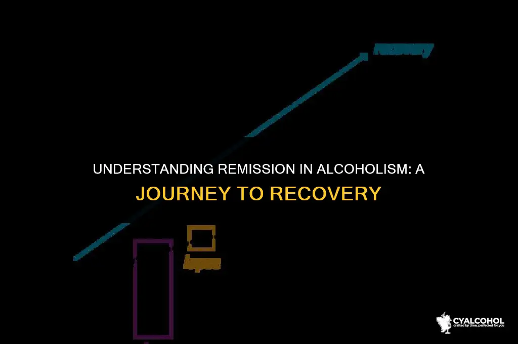 Understanding Remission In Alcoholism: A Journey To Recovery | CyAlcohol