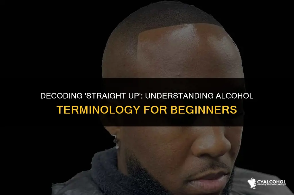 Decoding 'Straight Up': Understanding Alcohol Terminology For Beginners ...