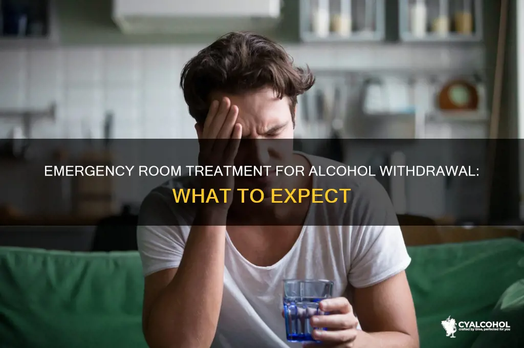 Emergency Room Treatment For Alcohol Withdrawal: What To Expect | CyAlcohol