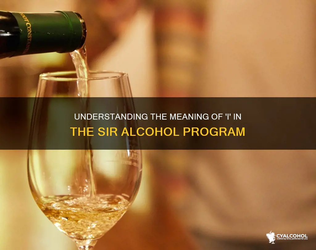 Understanding The Meaning Of 'I' In The Sir Alcohol Program | CyAlcohol