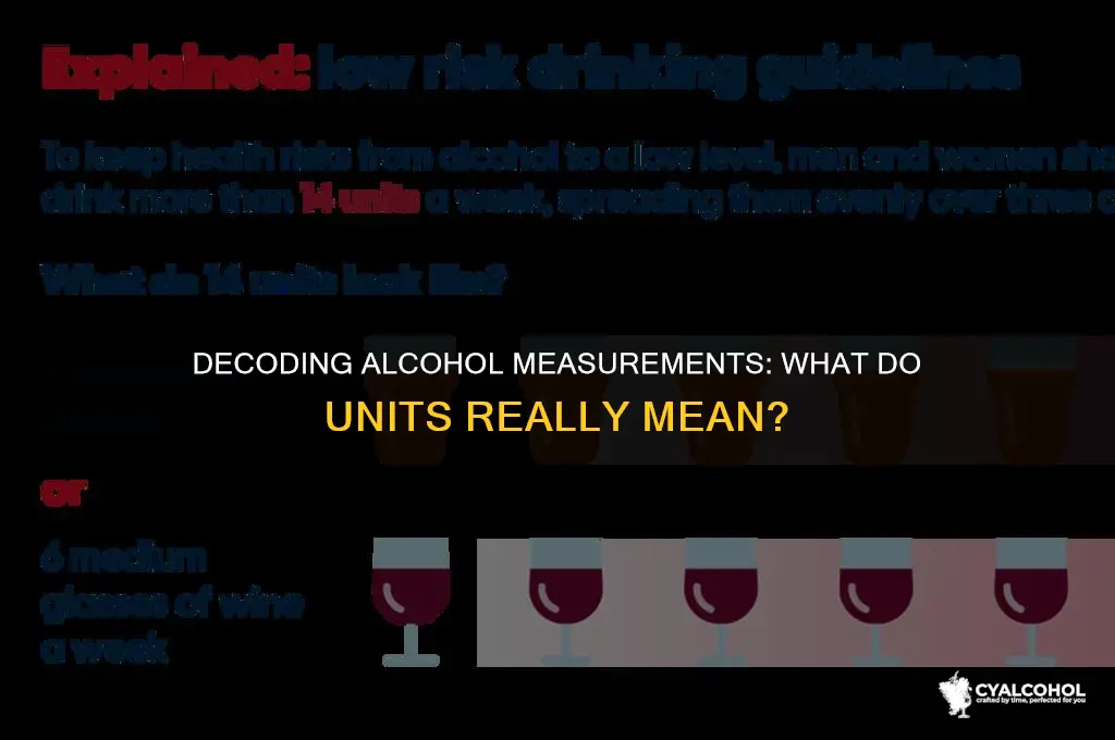 Decoding Alcohol Measurements: What Do Units Really Mean? | CyAlcohol