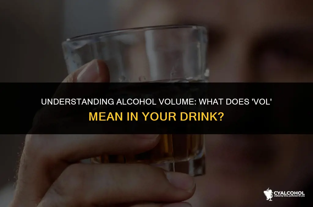 Understanding Alcohol Volume: What Does 'Vol' Mean In Your Drink ...