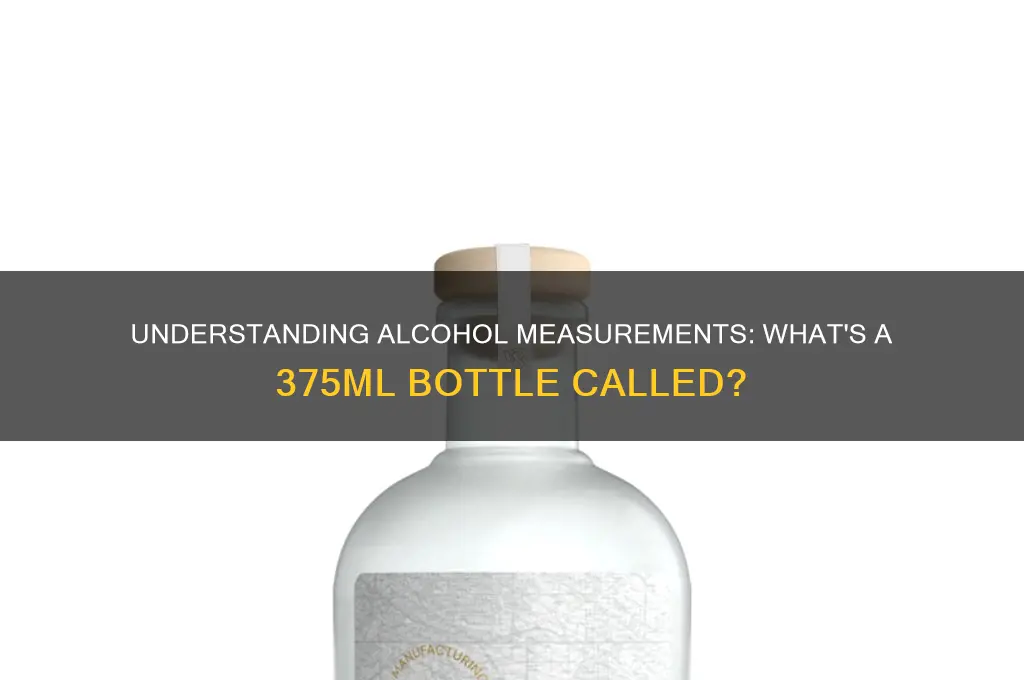 Understanding Alcohol Measurements: What's A 375Ml Bottle Called ...