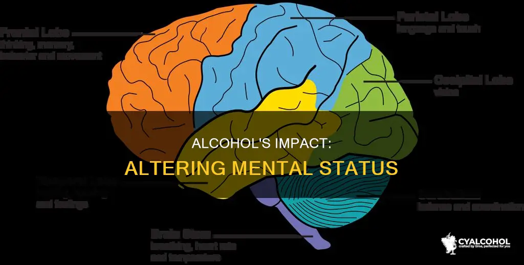 Alcohol's Impact: Altering Mental Status | CyAlcohol