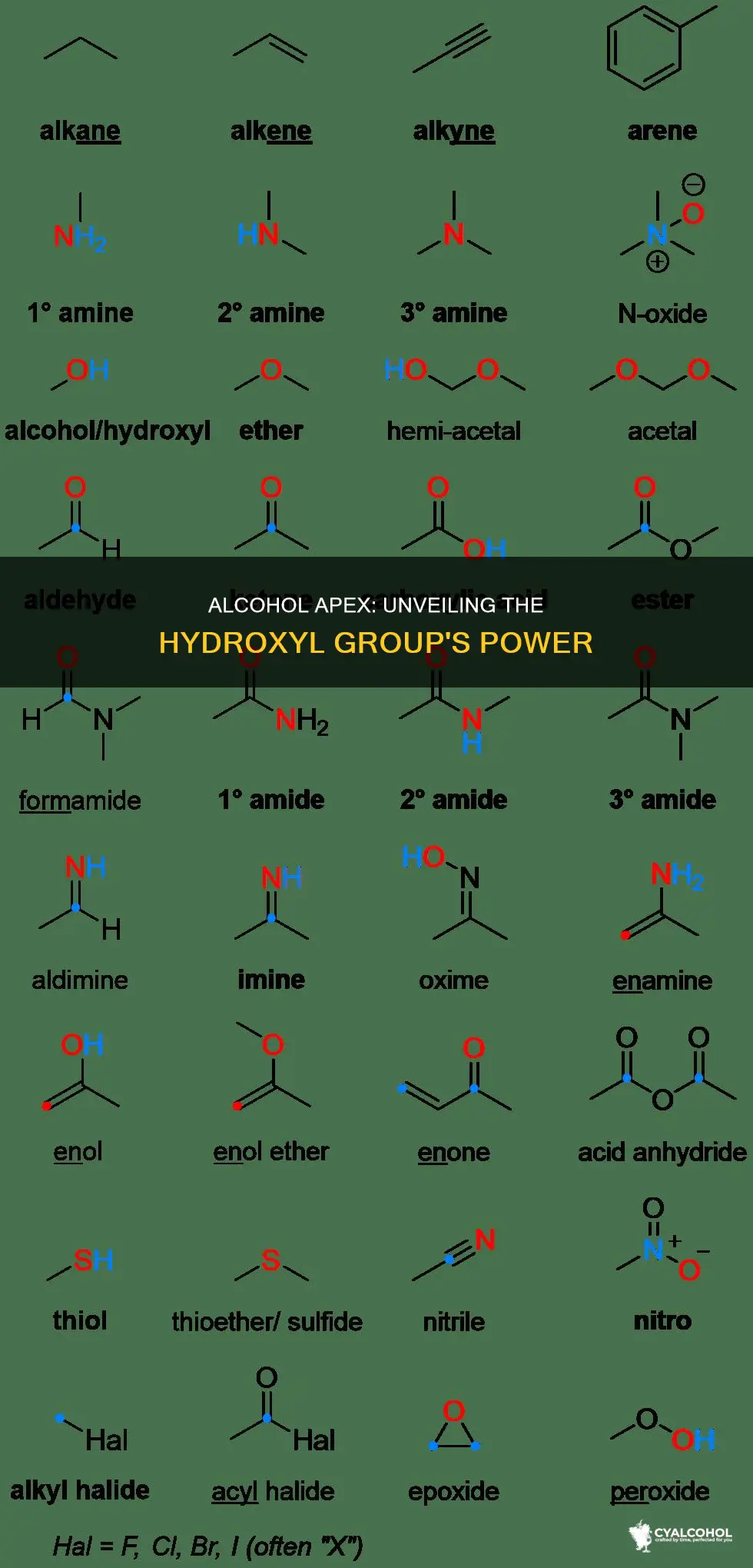 Alcohol Apex: Unveiling The Hydroxyl Group's Power | CyAlcohol
