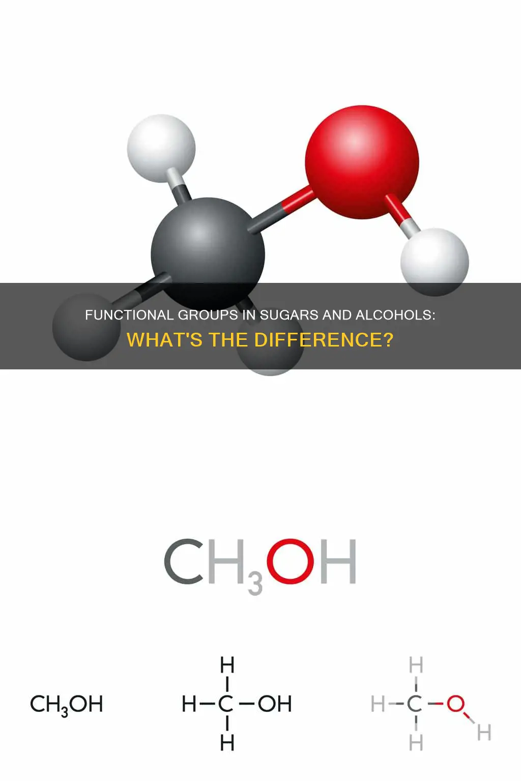 Functional Groups In Sugars And Alcohols: What's The Difference ...