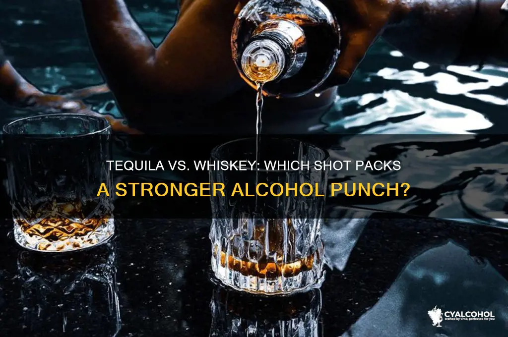Tequila Vs. Whiskey: Which Shot Packs A Stronger Alcohol Punch? | CyAlcohol