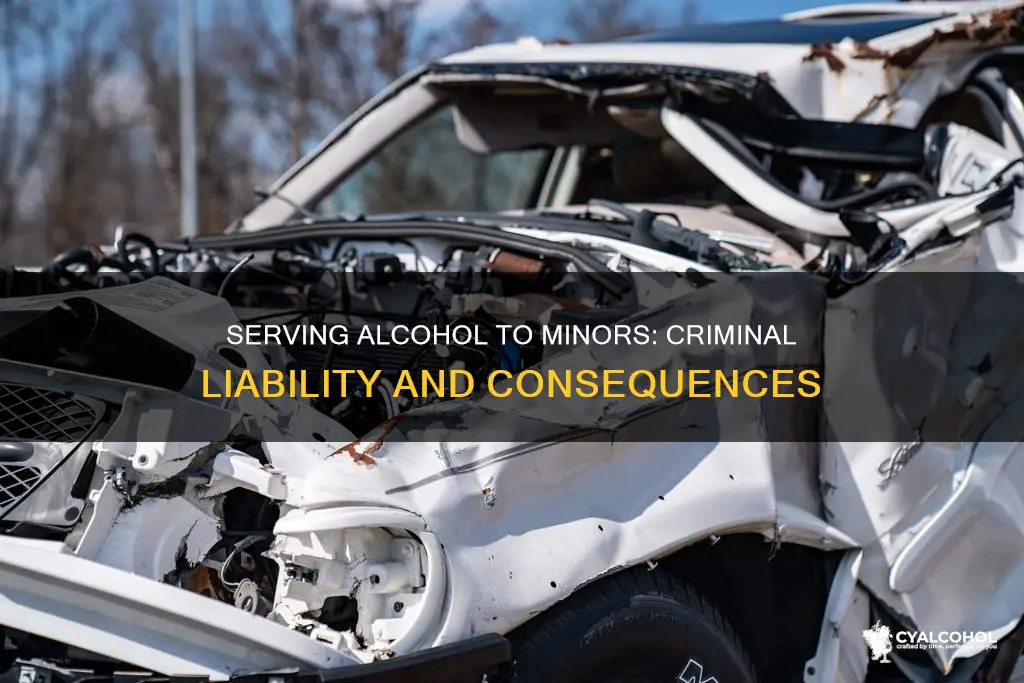 Serving Alcohol To Minors: Criminal Liability And Consequences | CyAlcohol