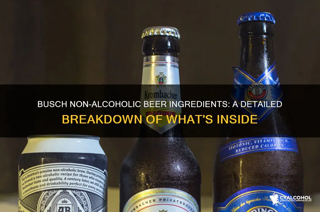 Busch Non-Alcoholic Beer Ingredients: A Detailed Breakdown Of What's ...