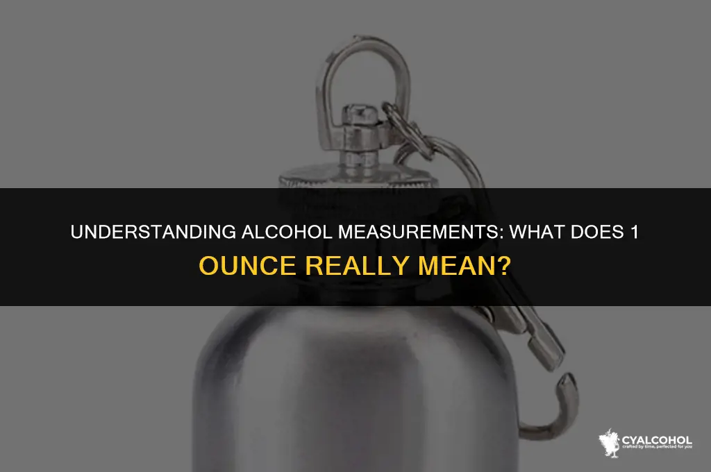 Understanding Alcohol Measurements: What Does 1 Ounce Really Mean ...